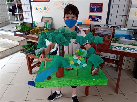 Alunos Do Ano Exp Em Maquetes Representando Os Biomas Brasileiros