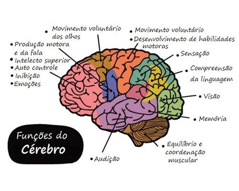 Cérebro Toda Matéria