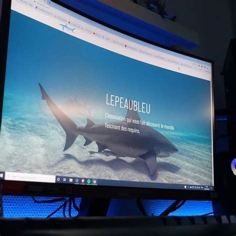 LePeauBleu sur Instagram LePeauBleu 2 0 débarque Notre site