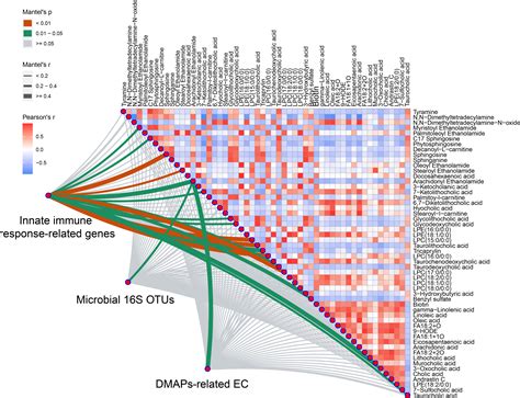 Frontiers Multi Omics Analysis Reveals The Metabolic Regulators Of