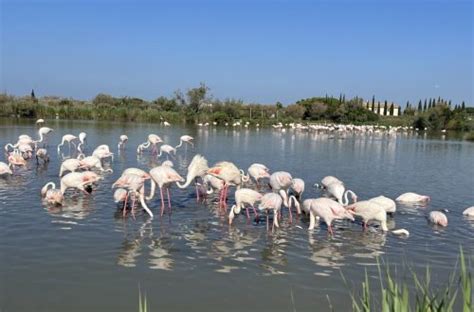 Sorgenti Del Ma Escursione In Val Di Zoldo Tra Piscine Naturali