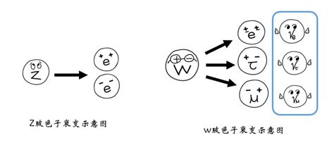 W 玻色子质量精确测量背后的精确计算 腾讯新闻