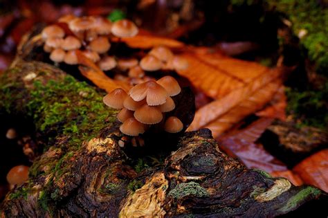 Descubriendo el pueblo más bonito de Ourense TravelHolics