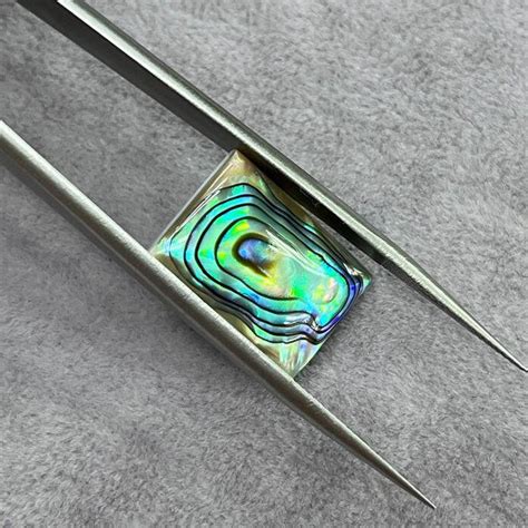 Natural Paua Abalone Shell Rectangular Cabochon Loose Natural