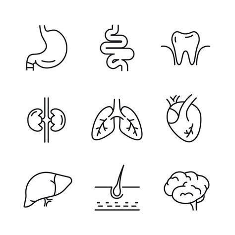 Clinic Brain Dump Artofit