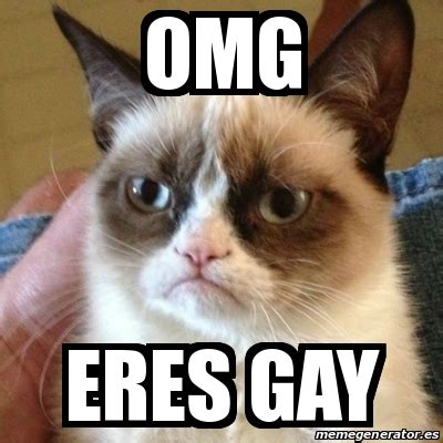 Meme Grumpy Cat Omg Eres Gay 22561591