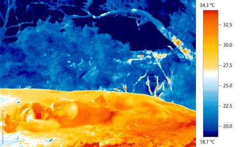 Naked Female Outdoors Thermal Heat Imaging In Natural Environment By