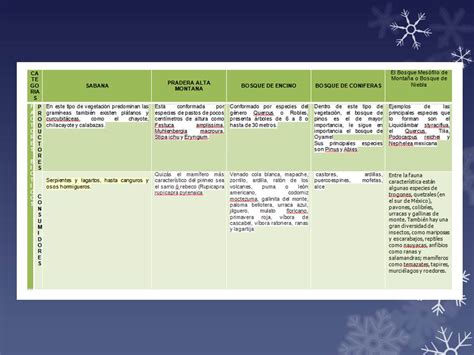 Ciencias Naturales Cuadro Comparativo De Ecosistemas