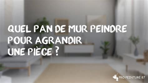 Quel pan de mur peindre pour agrandir une pièce Pro Peinture 87