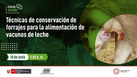 Técnicas de conservación de forrajes para la alimentación de vacunos de