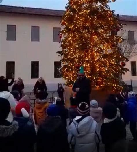 Accensione dellalbero di Natale e mostra darte L eco della città
