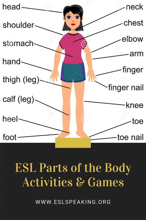 Body Parts ESL Games Activities Lesson Plans Parts Of The Body