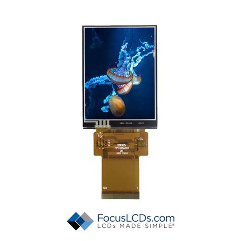 Everything You Need To Know About The MCU Interface Focus LCDs