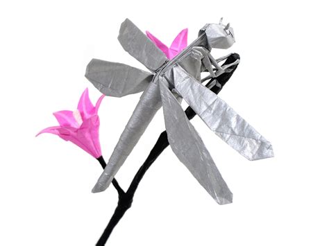 Mariano Mi Mundo El Origami Dragonfly