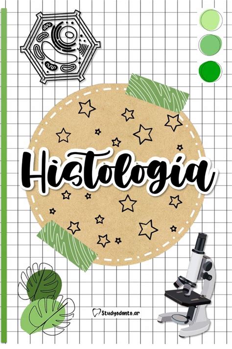 𝑷𝒐𝒓𝒕𝒂𝒅𝒂 𝒅𝒊𝒈𝒊𝒕𝒂𝒍 2022 portadasbonitas portadadigital portadas