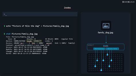 Linux Create And Manage Hard Links