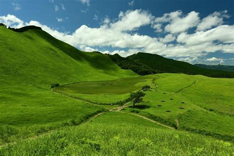 Soni Plateau The Kansai Guide The Origin Of Japan Kansai