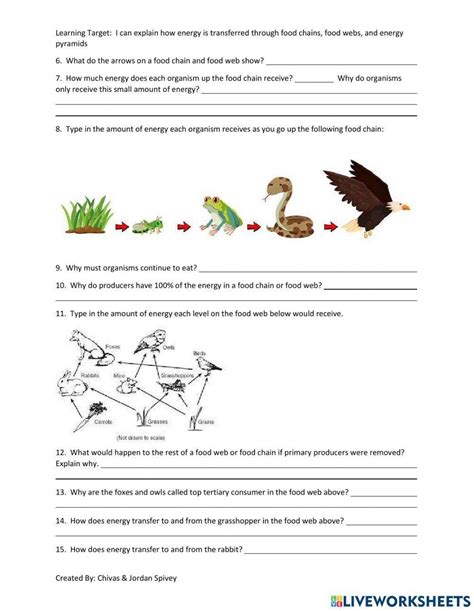 Food Chains Food Webs And Energy Pyramid Worksheets Free Pintables