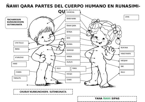 cuerpo humano rompecabezas en línea