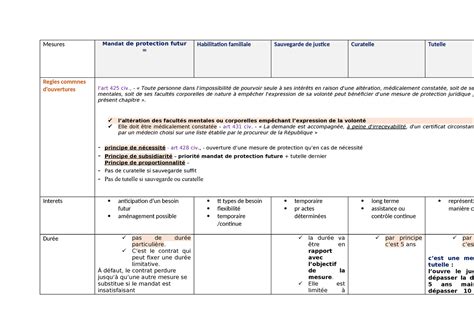 Mesures A Connaitre Mesures Mandat De Protection Futur Habilitation