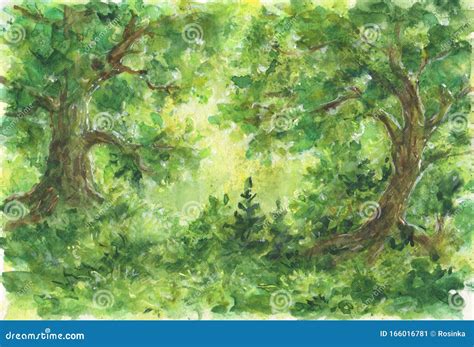 Paisagem De Aquarelas Da Floresta Desenho De Cores Verdes Imagem De