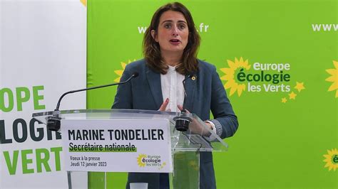 Western Sahara The Greens Believe That Emmanuel Macron Betrayed France