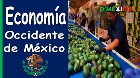 Economia Del Occidente De Mexico Sectores Eco Dmexico