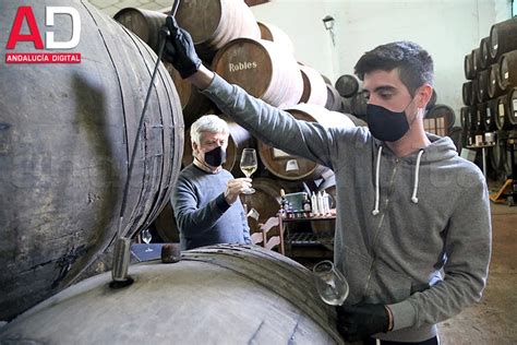 El sector vitivinícola y las bodegas andaluzas reciben 10 55 millones