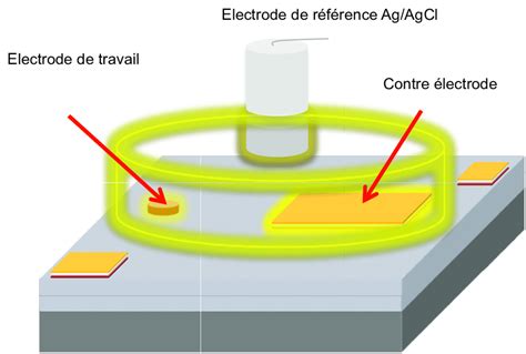 10 Schéma du montage à trois électrodes Download Scientific Diagram
