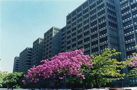 Uerj Universidade Do Estado Do Rio De Janeiro Campus Maracan Rio