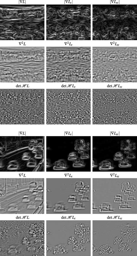 rotationally invariant spatio temporal receptive field responses for download scientific