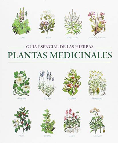 Detalles más de 85 plantas medicinales dibujo última camera edu vn