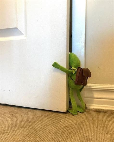 Pin Auf Aliacore In 2024 Kermit Der Frosch Kermit Fun Bilder