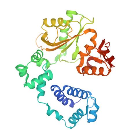 Rcsb Pdb Iii Crystal Structure Of The Pre Catalytic Ternary Complex