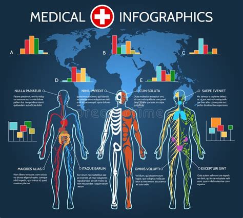Medical Infographic Anatomie Du Corps Humain Images And Photos Finder