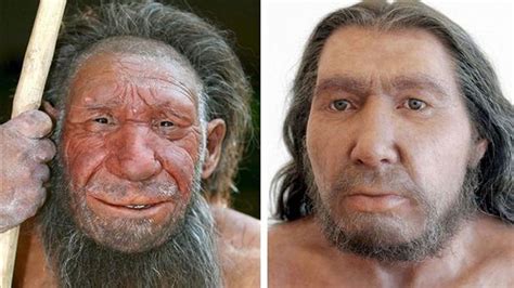 Neandertales Y Sapiens Se Hibridaron Hace M S De A Os