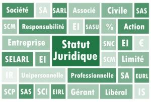 Choisir le statut juridique de l entreprise en création
