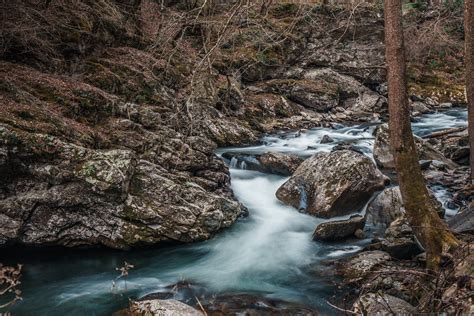 Images Gratuites Paysage Arbre La Nature Roche Cascade R Gion