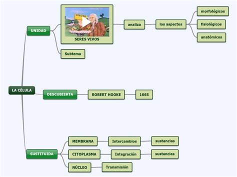 La C Lula Mind Map
