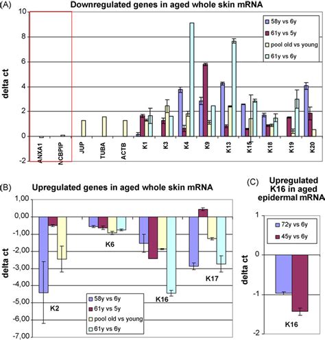 Real Time PCR Gene Expression Profile Of Cytosekeletal Genes ANXA1 And