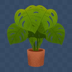 Pintado A Mano Linda Planta De Dibujos Animados En Maceta Png Ma Png