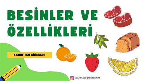 4 Sınıf Fen Bilimleri Besinler ve Özellikleri YouTube
