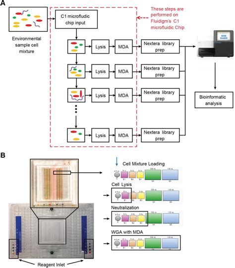 C1 Microfluidic Ifc Fluidigm Bioz