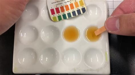 Testing The PH Of Common Household Substances YouTube