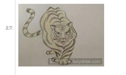 简笔画教程教你画老虎 学院 摸鱼网 Σ っ Д っ 让世界更萌 mooyuu