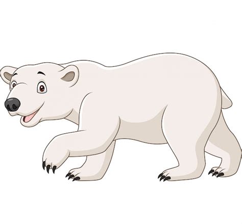 Ours Polaire De Dessin Animé Isolé Sur Blanc Vecteur Premium