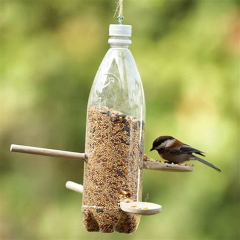 Construye un comedero para pájaros silvestres El Correo del Sol