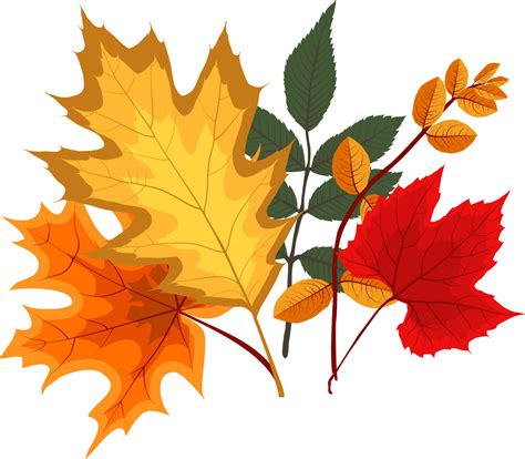 Autumn Falling Leaves 10985118 PNG