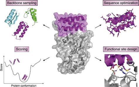 Creating Lifes Building Blocks Models For De Novo Protein Design