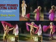 Sheila Sands Desnuda En Monty Python S Flying Circus